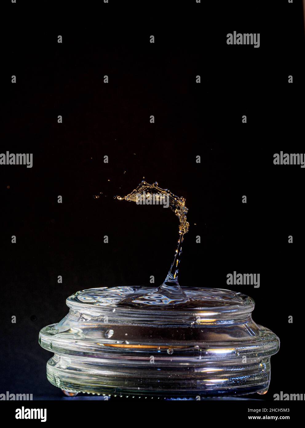 Dark background, drop paintings, still life, Baden-Wuerttemberg ...