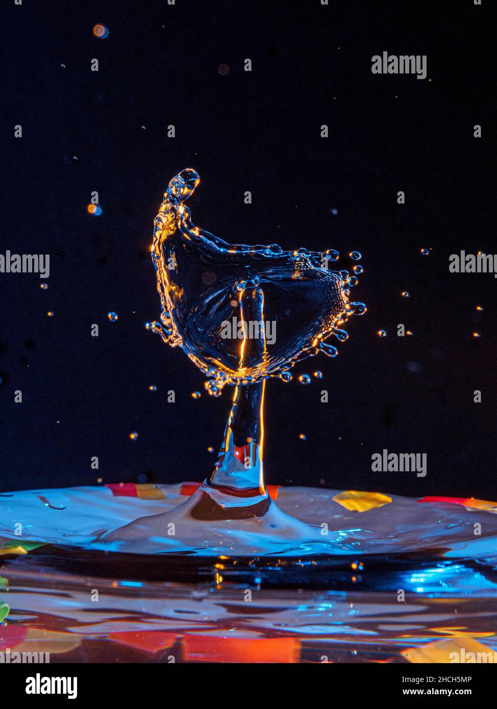 Dark background, drop paintings, still life, Baden-Wuerttemberg ...