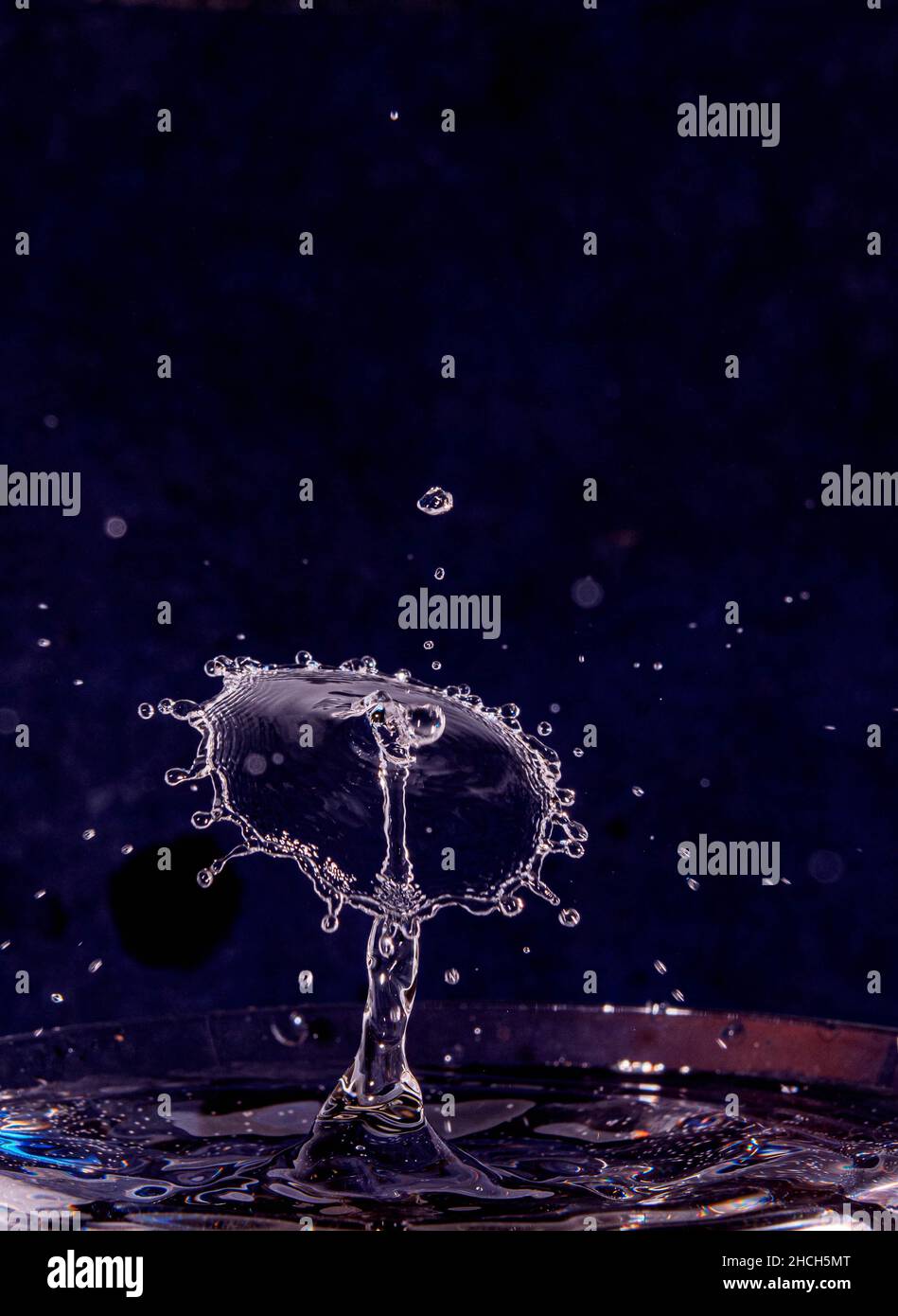 Dark background, drop paintings, still life, Baden-Wuerttemberg ...