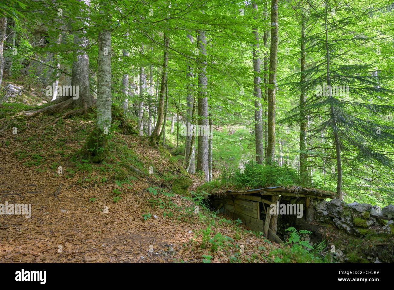 Simple shelter near a trench Themed trail Grande Guerra on the battles ...