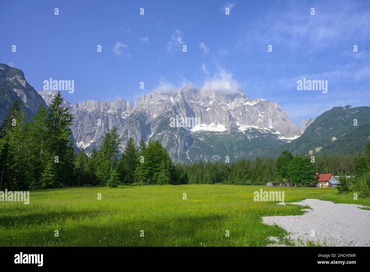 View over meadow to the mountains of Val Saisera, Malborghetto Valbruna ...