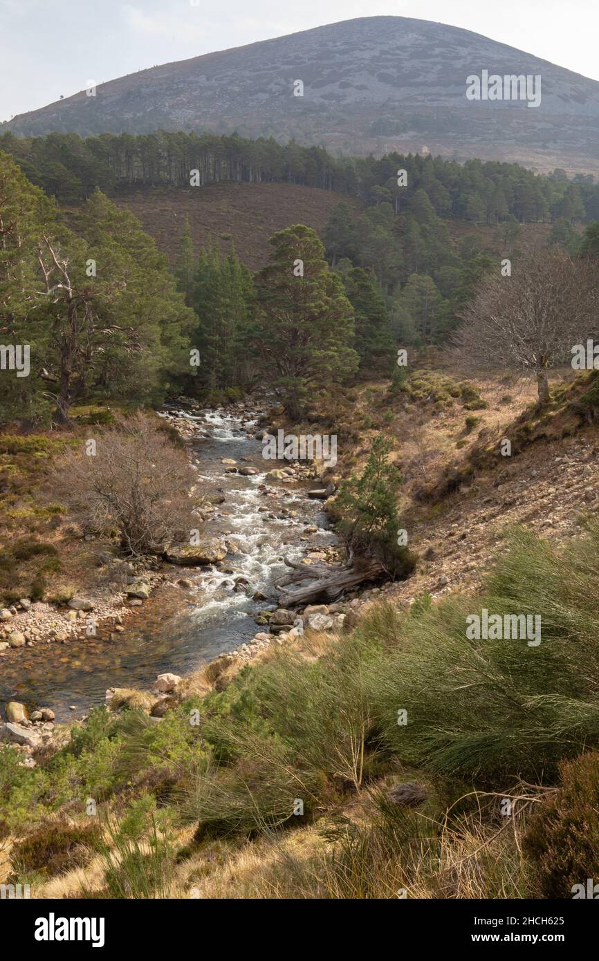 Scottish highland landscape hi-res stock photography and images - Alamy
