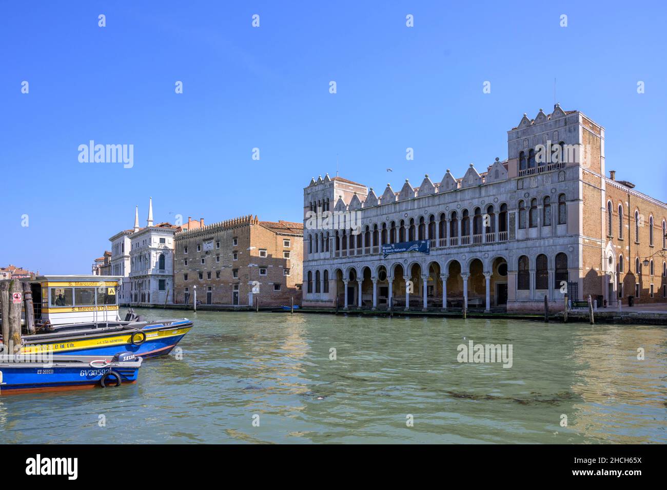 Natural History Museum, Venice, Province of Venice, Italy Stock Photo ...