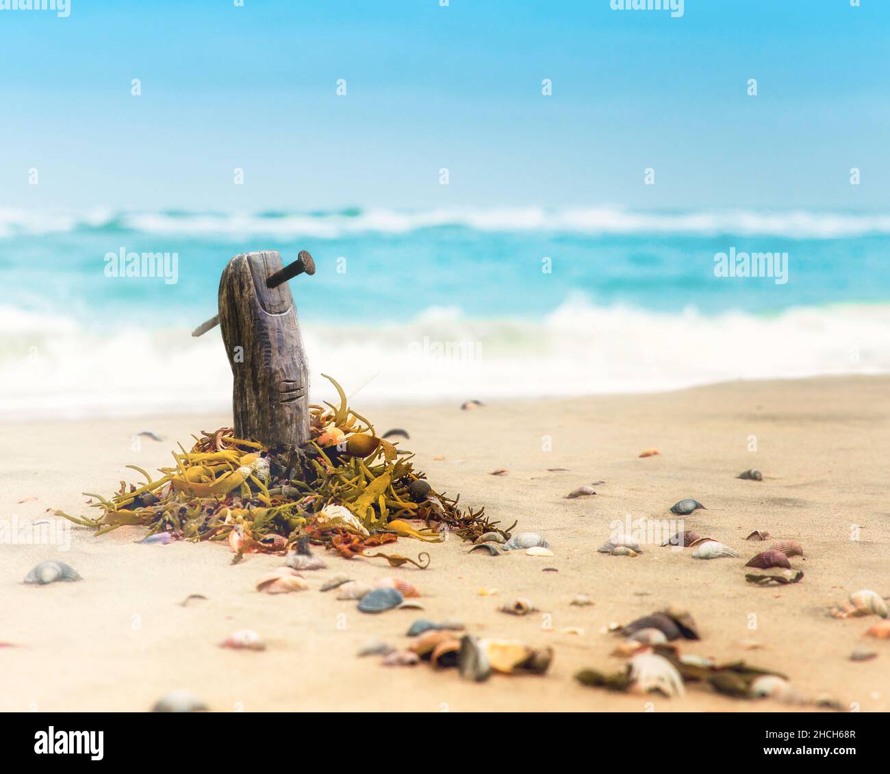 beach combing on the beach Stock Photo - Alamy