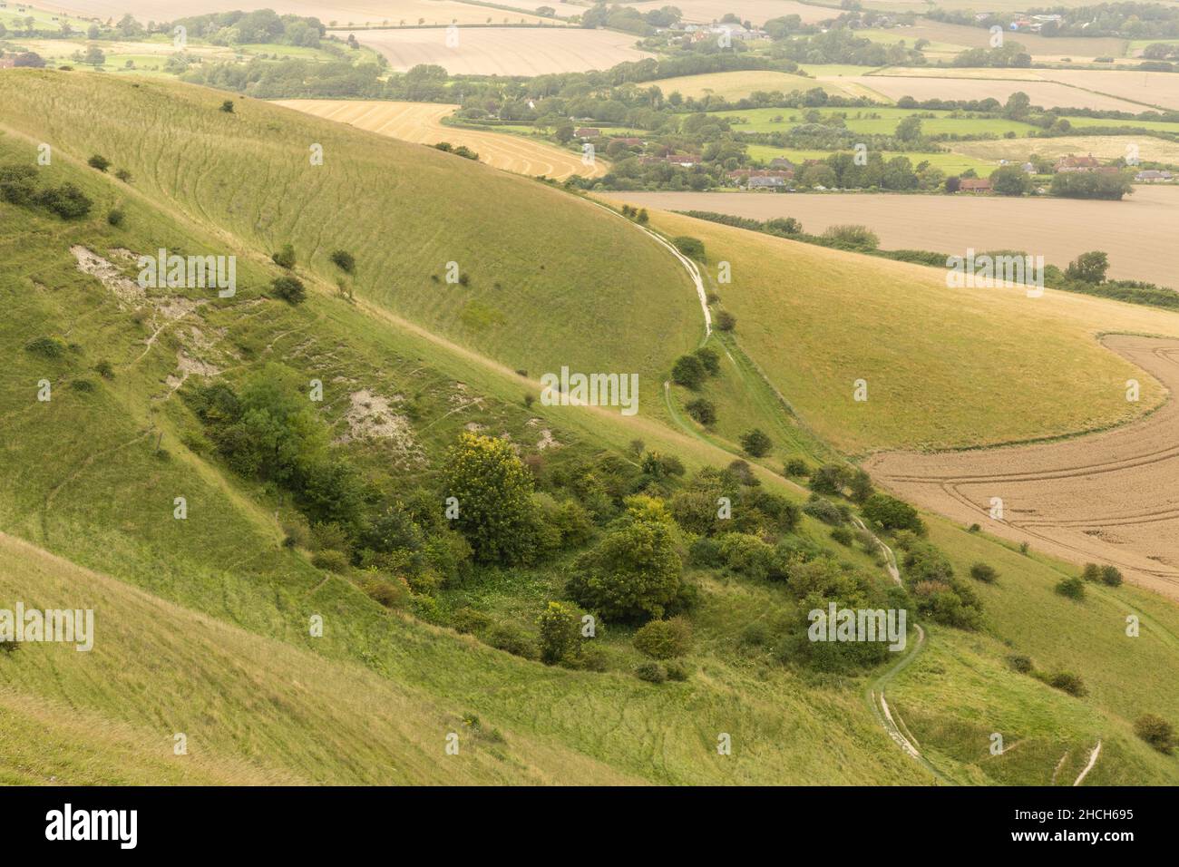 Ancient chalk downland landscape of the South Downs National Park ...