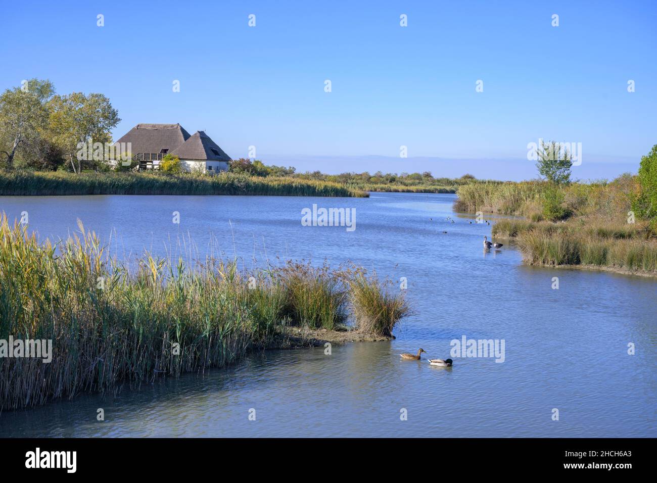Valle Canal Novo Nature Reserve, Marano Lagunare, Province of Udine ...
