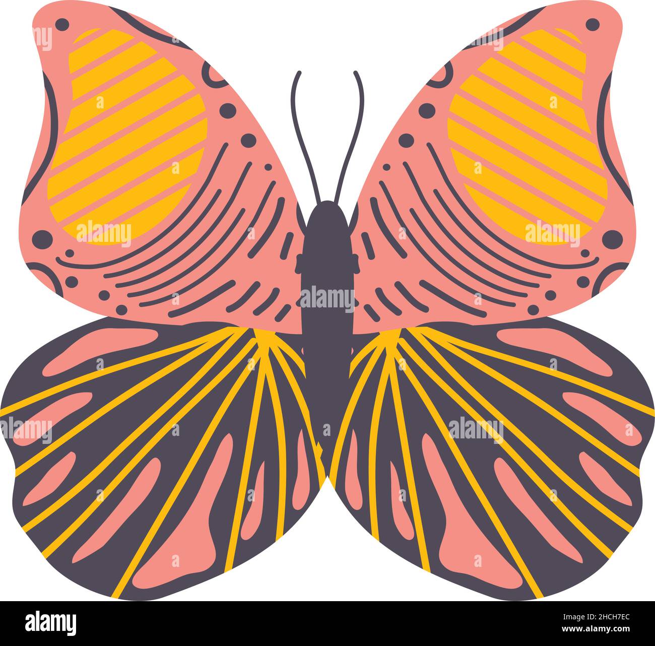butterfly flat icon Stock Vector Image & Art - Alamy