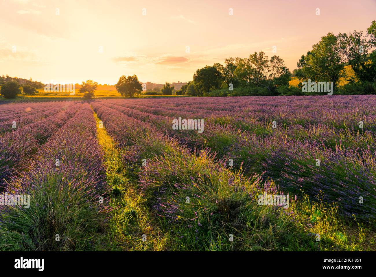Corinaldo italy marche hi-res stock photography and images - Alamy