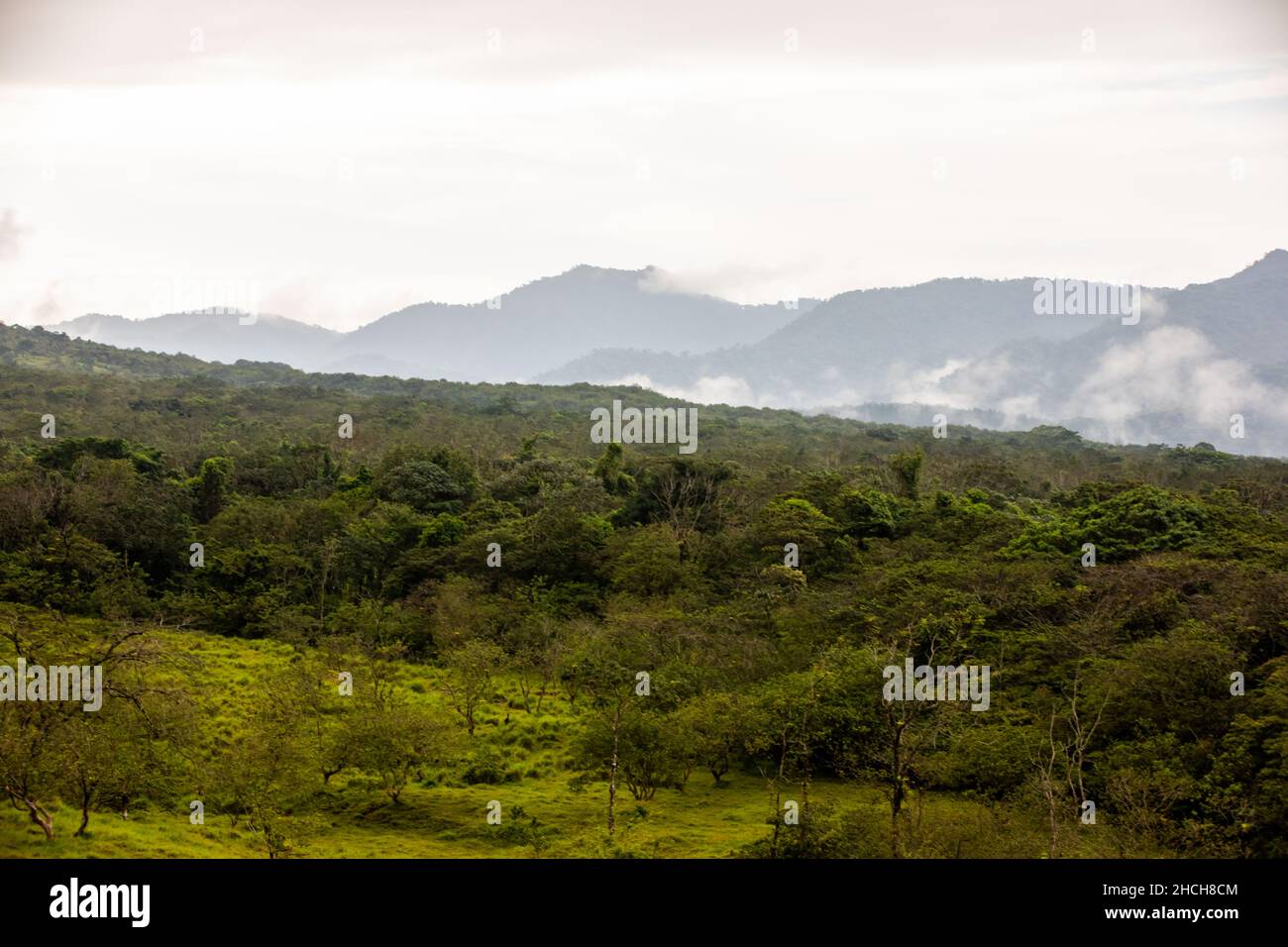 Rainforest arenal region costa hi-res stock photography and images - Alamy