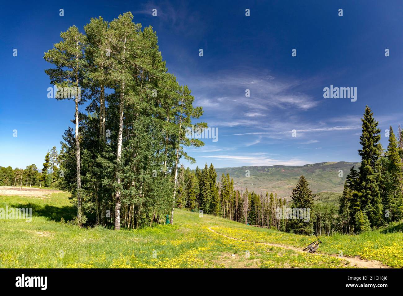 Beaver creek hi-res stock photography and images - Alamy