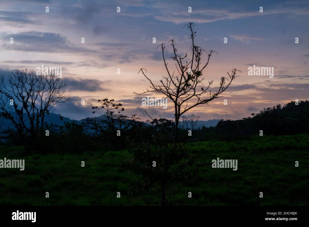 Arenal volcano and arenal cloud forest in the mist in Arenal region ...