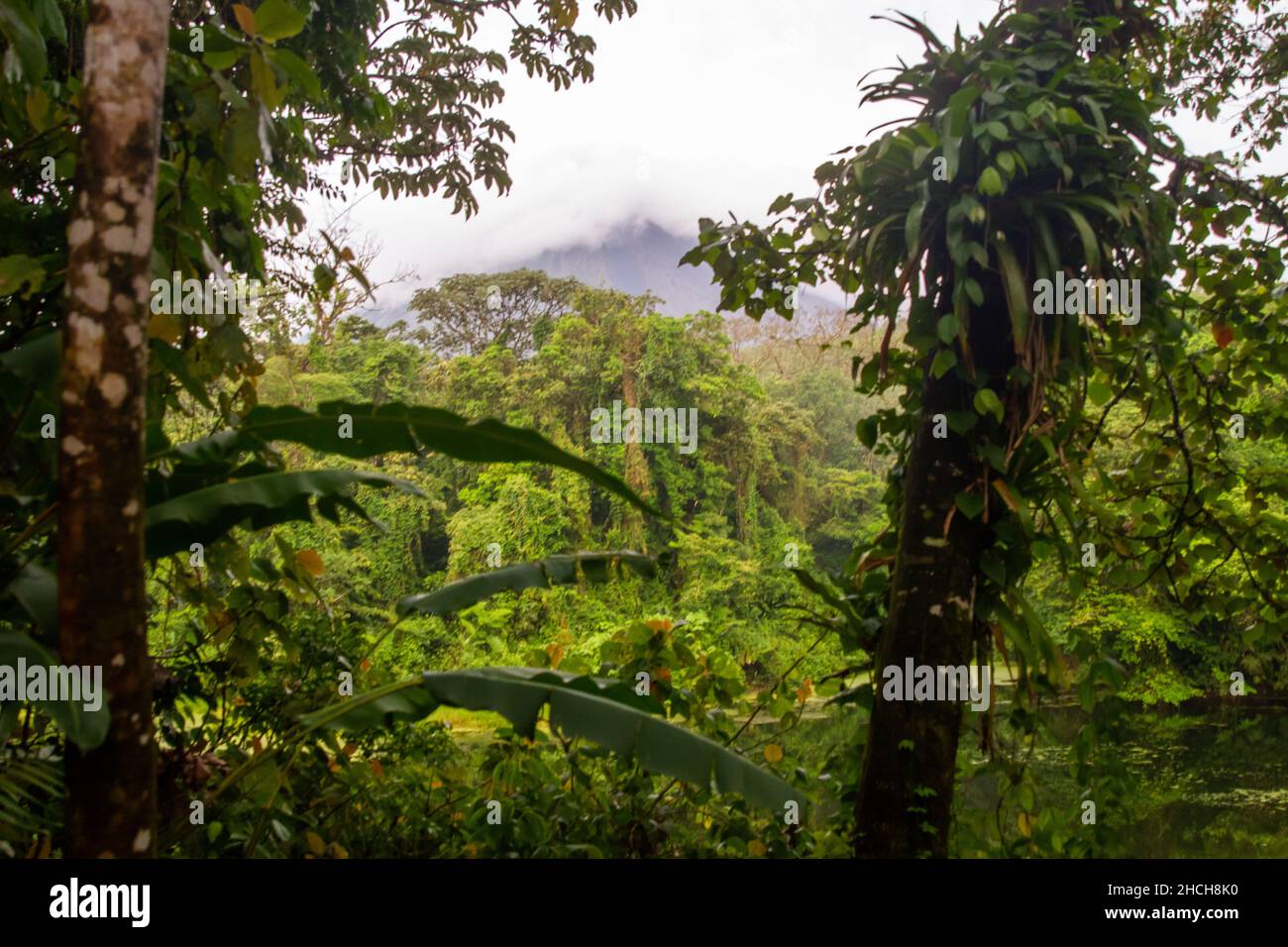 Arenal volcanic biodiversity hi-res stock photography and images - Alamy
