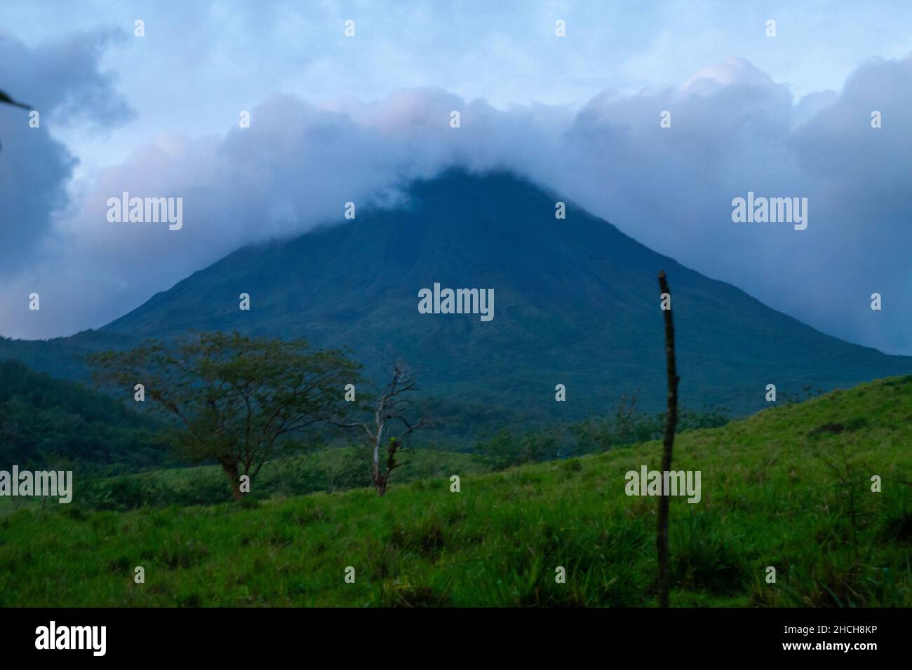 Rainforest arenal region costa hi-res stock photography and images - Alamy