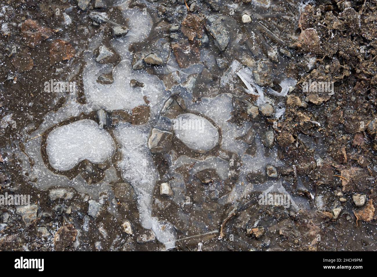 Icy puddle hi-res stock photography and images - Alamy