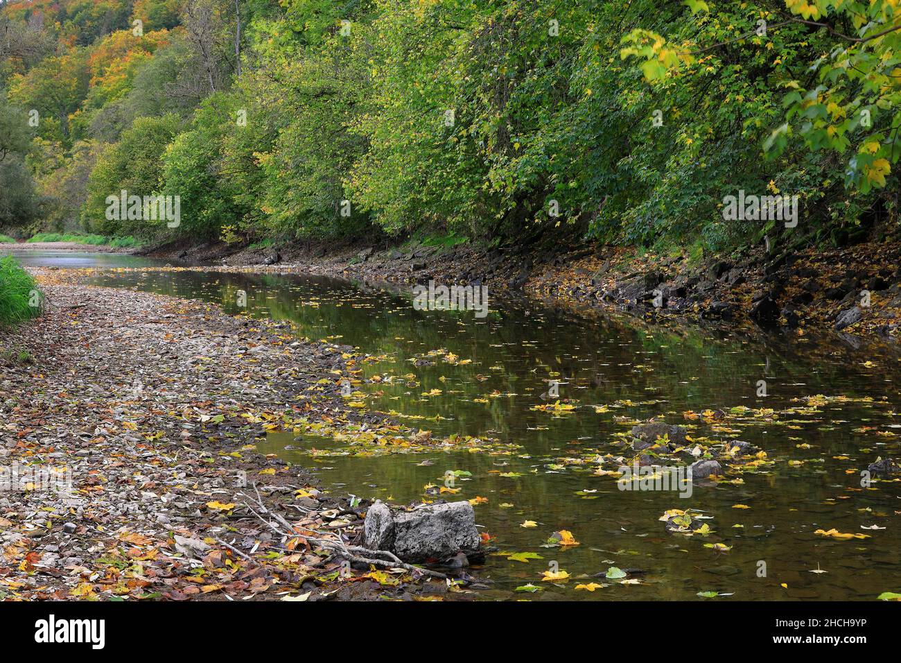 Danube seepage, Danube, riverbed, Immendingen, Upper Danube nature Park ...