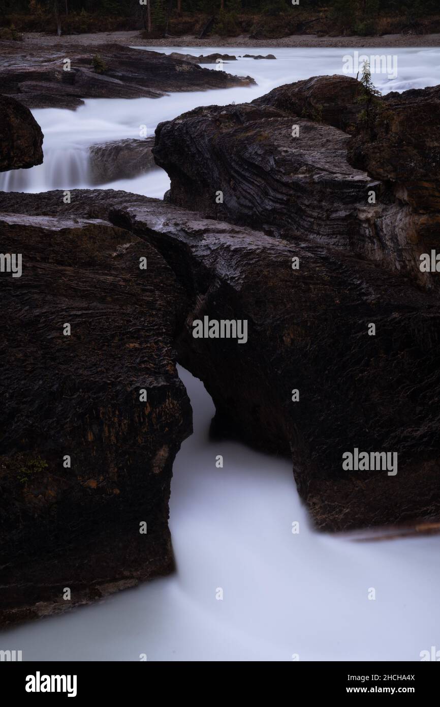 Vertical shot of the Elbow Falls with long exposure surrounded by a ...