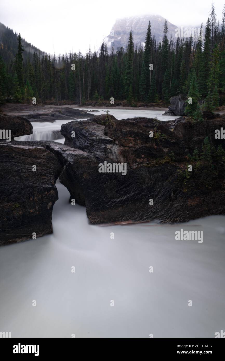 Vertical shot of the Elbow Falls with long exposure surrounded by a ...