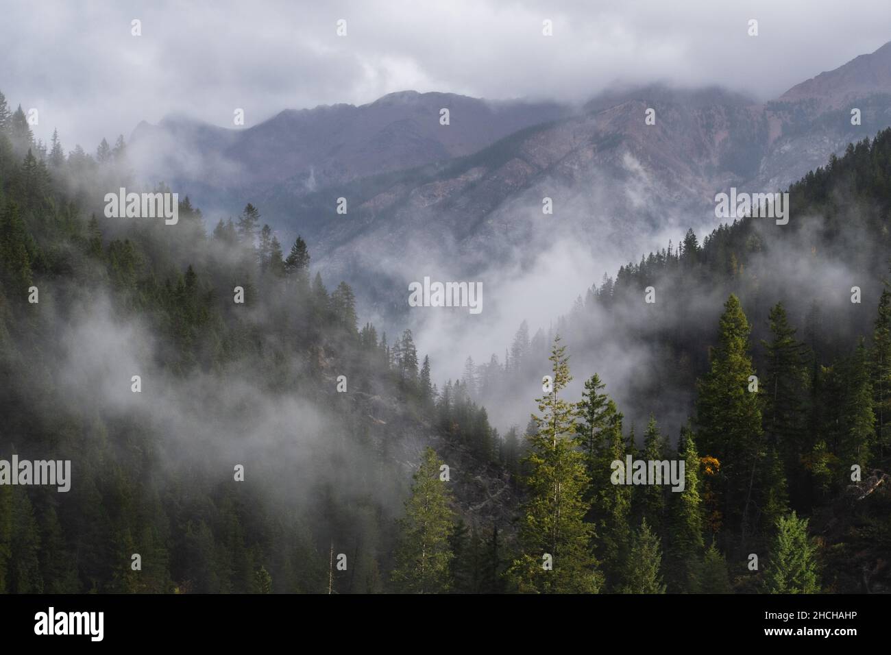 Beauty of the fog hi-res stock photography and images - Alamy