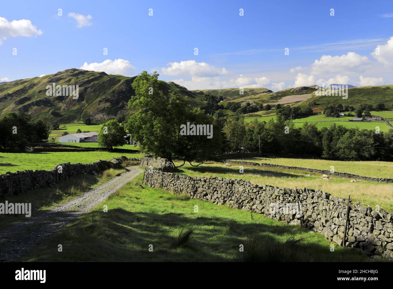 View over High Rigg fell, St Johns in the Vale village, near Keswick ...