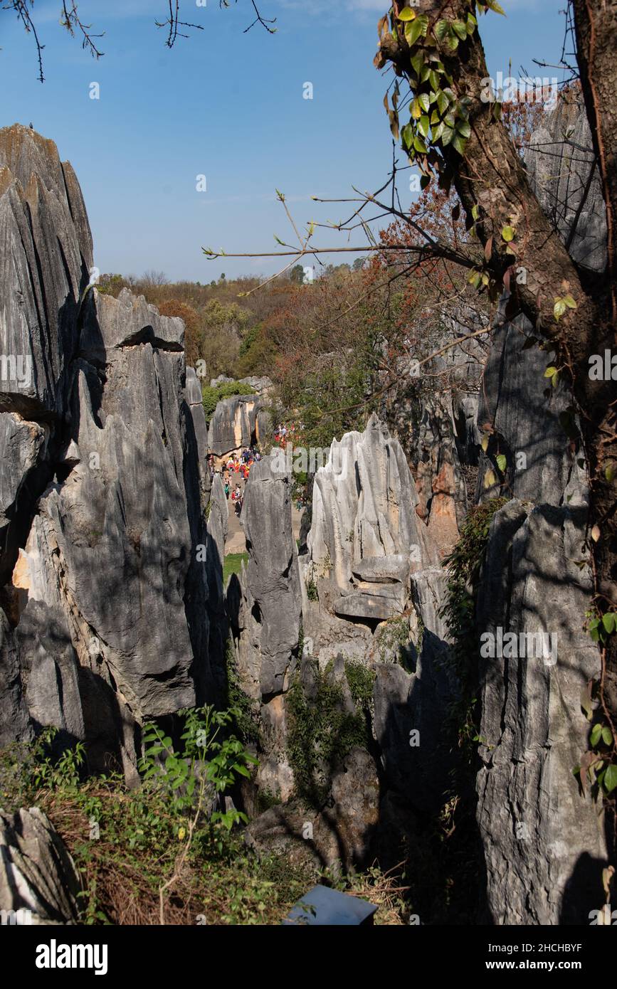 February 2019, Kunming, Yunnan Stone Forest Geological Park, Shilin ...