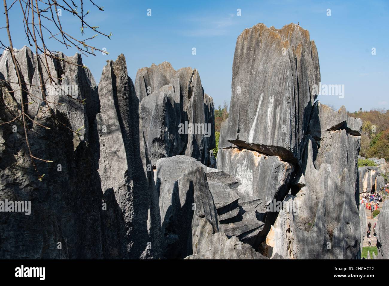 February 2019, Kunming, Yunnan Stone Forest Geological Park, Shilin ...