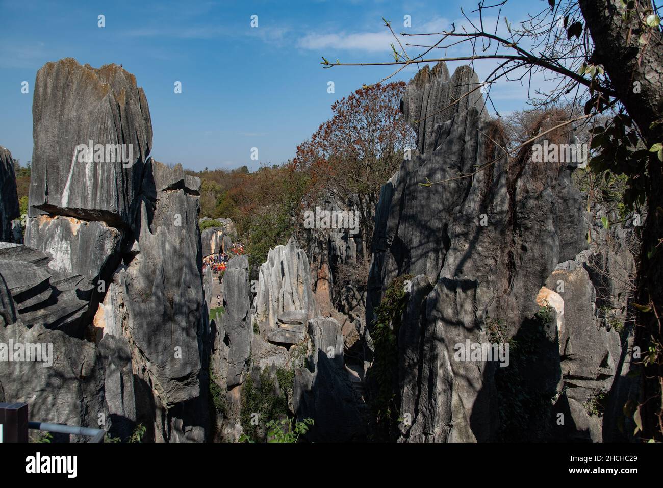 February 2019, Kunming, Yunnan Stone Forest Geological Park, Shilin ...