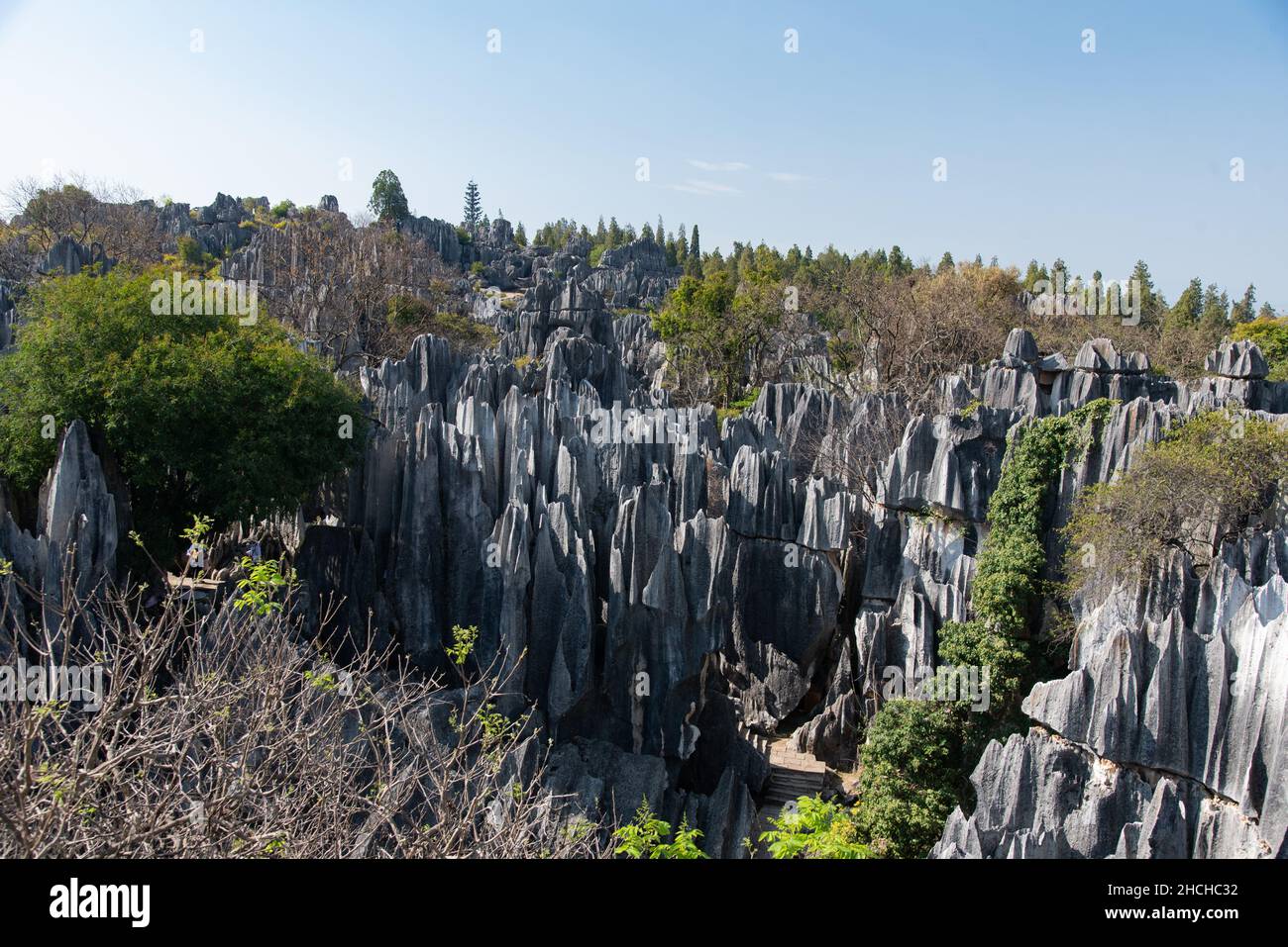 February 2019, Kunming, Yunnan Stone Forest Geological Park, Shilin ...