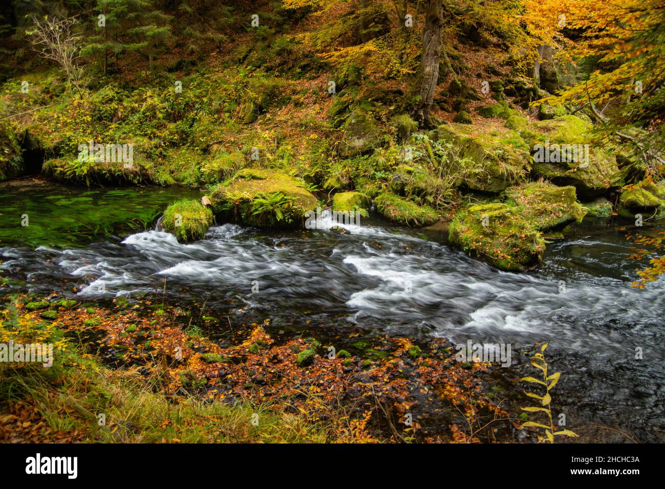 hike through the Kamnitzklamm in autumn Stock Photo - Alamy