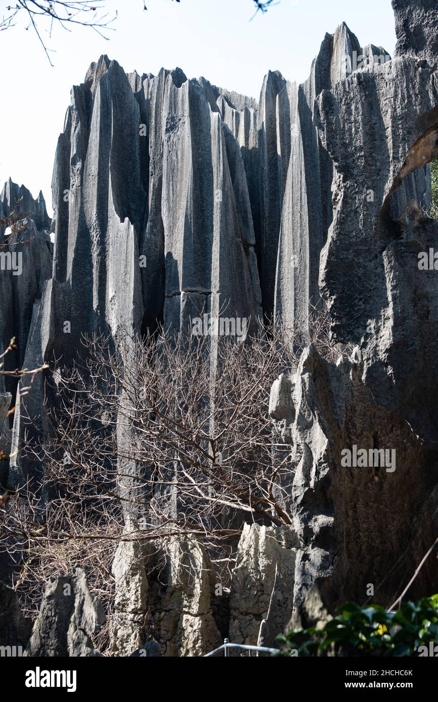 February 2019, Kunming, Yunnan Stone Forest Geological Park, Shilin ...
