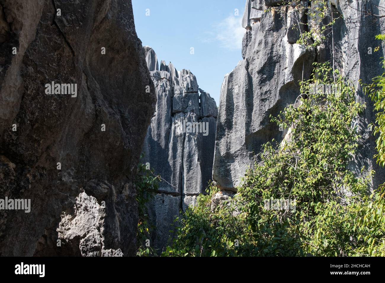 February 2019, Kunming, Yunnan Stone Forest Geological Park, Shilin ...