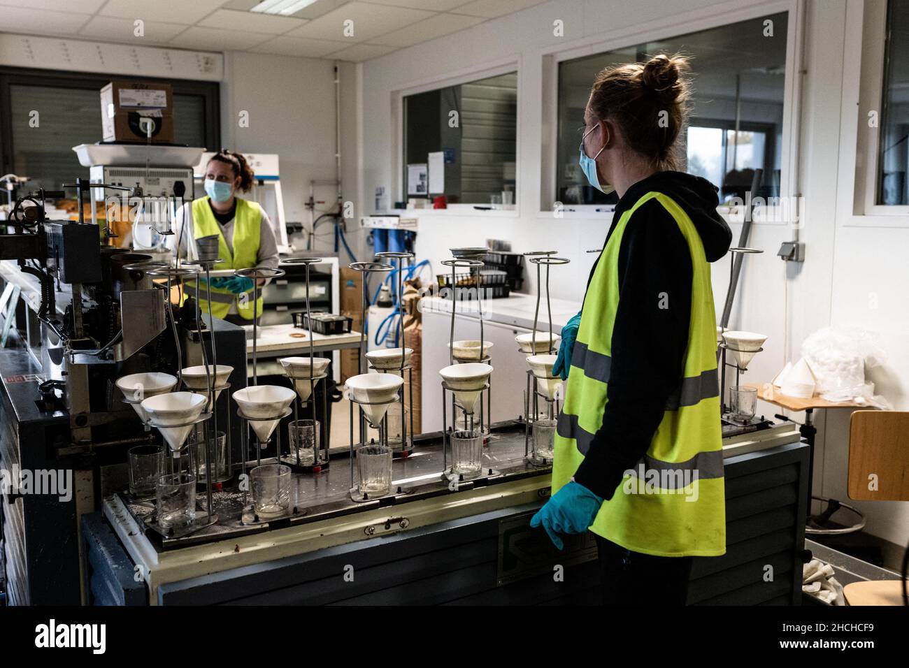 Sugar beet samples hi-res stock photography and images - Alamy