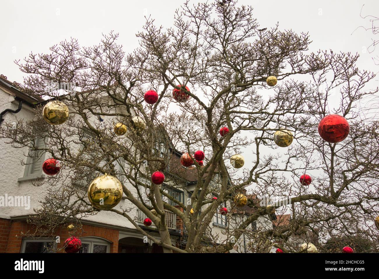 Large, colourful Christmas bauble decorations hanging from a tree in ...
