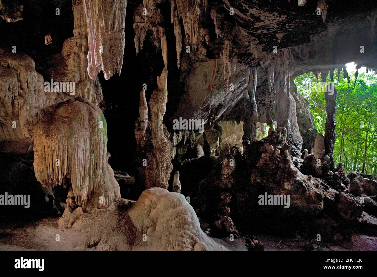 Limestone cave Big headed Ghost Cave, Mangrove coast at Ao Luk Big ...