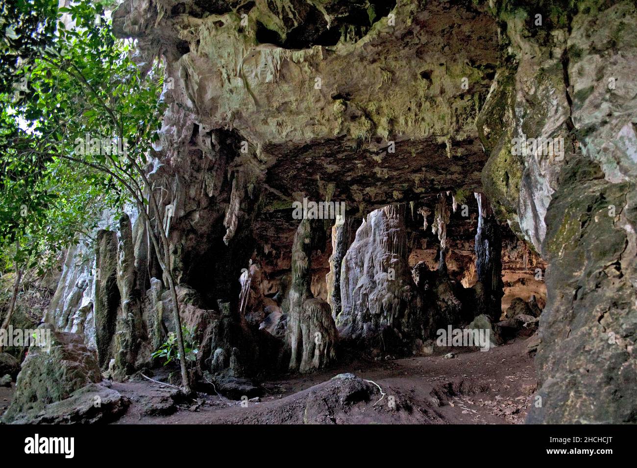 Limestone cave Big headed Ghost Cave, Mangrove coast at Ao Luk Big ...