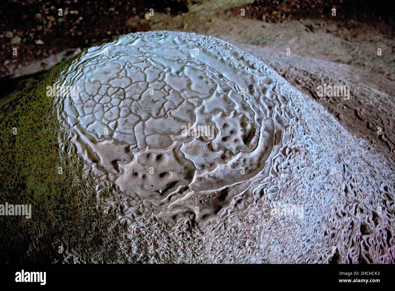 Limestone cave Big headed Ghost Cave, Mangrove coast at Ao Luk Big ...