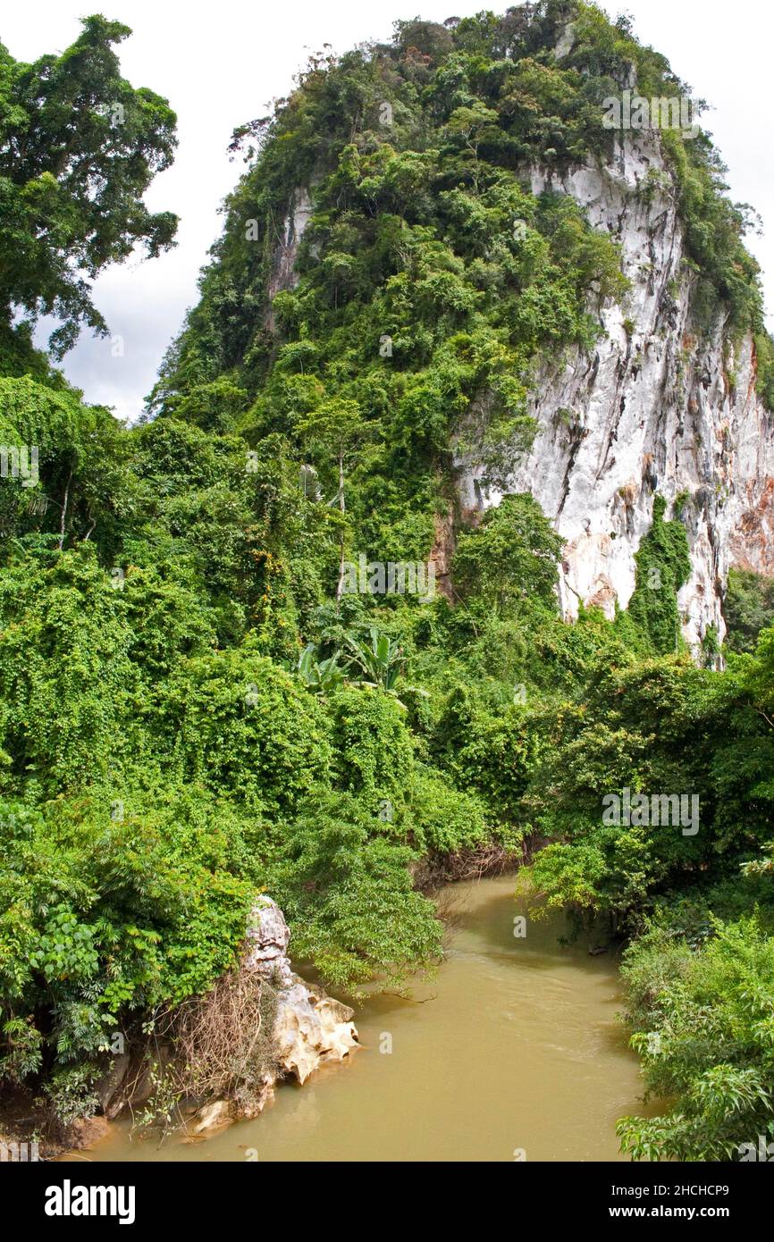 In khao sok national park hi-res stock photography and images - Alamy