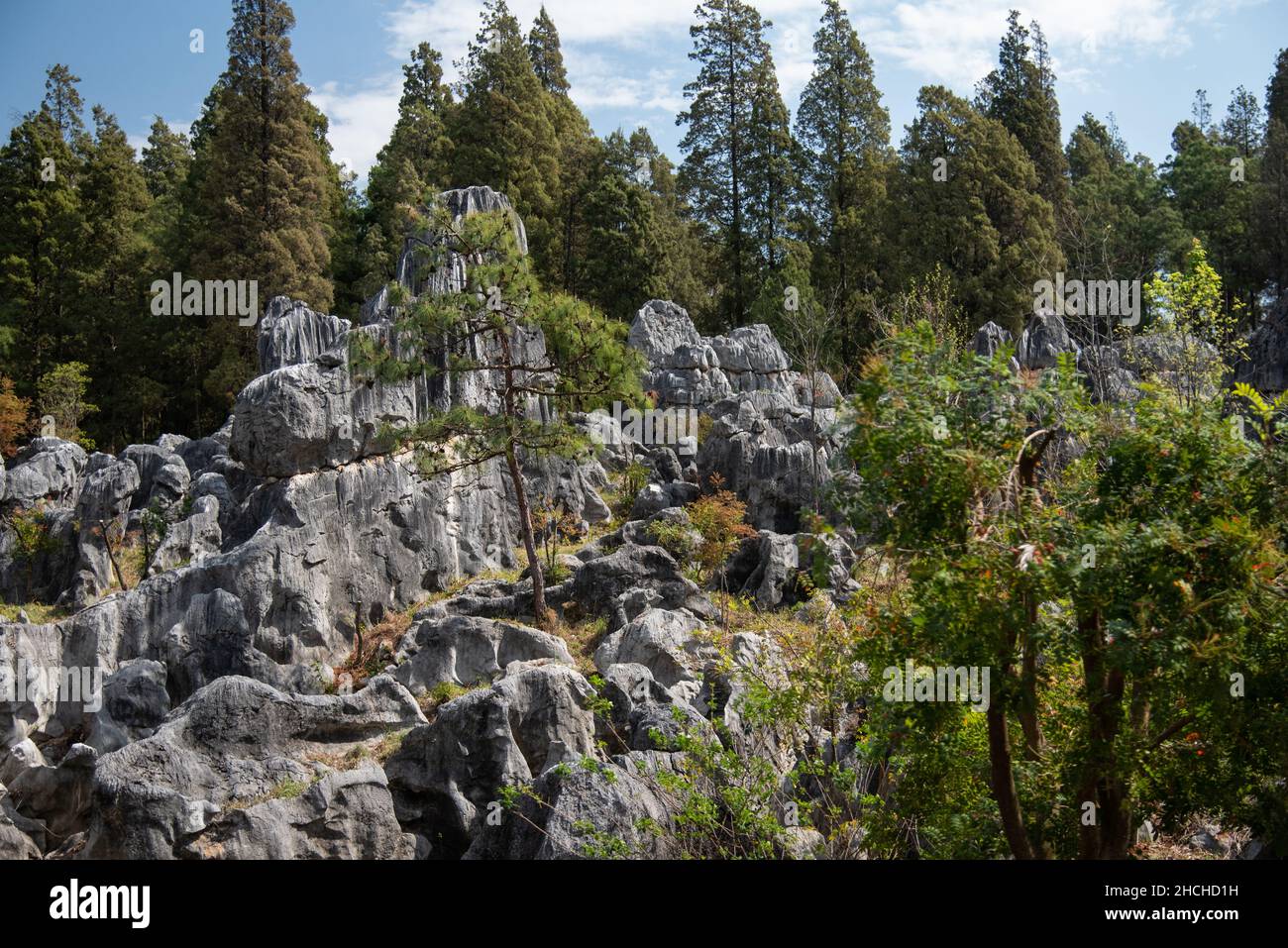 February 2019, Kunming, Yunnan Stone Forest Geological Park, Shilin ...