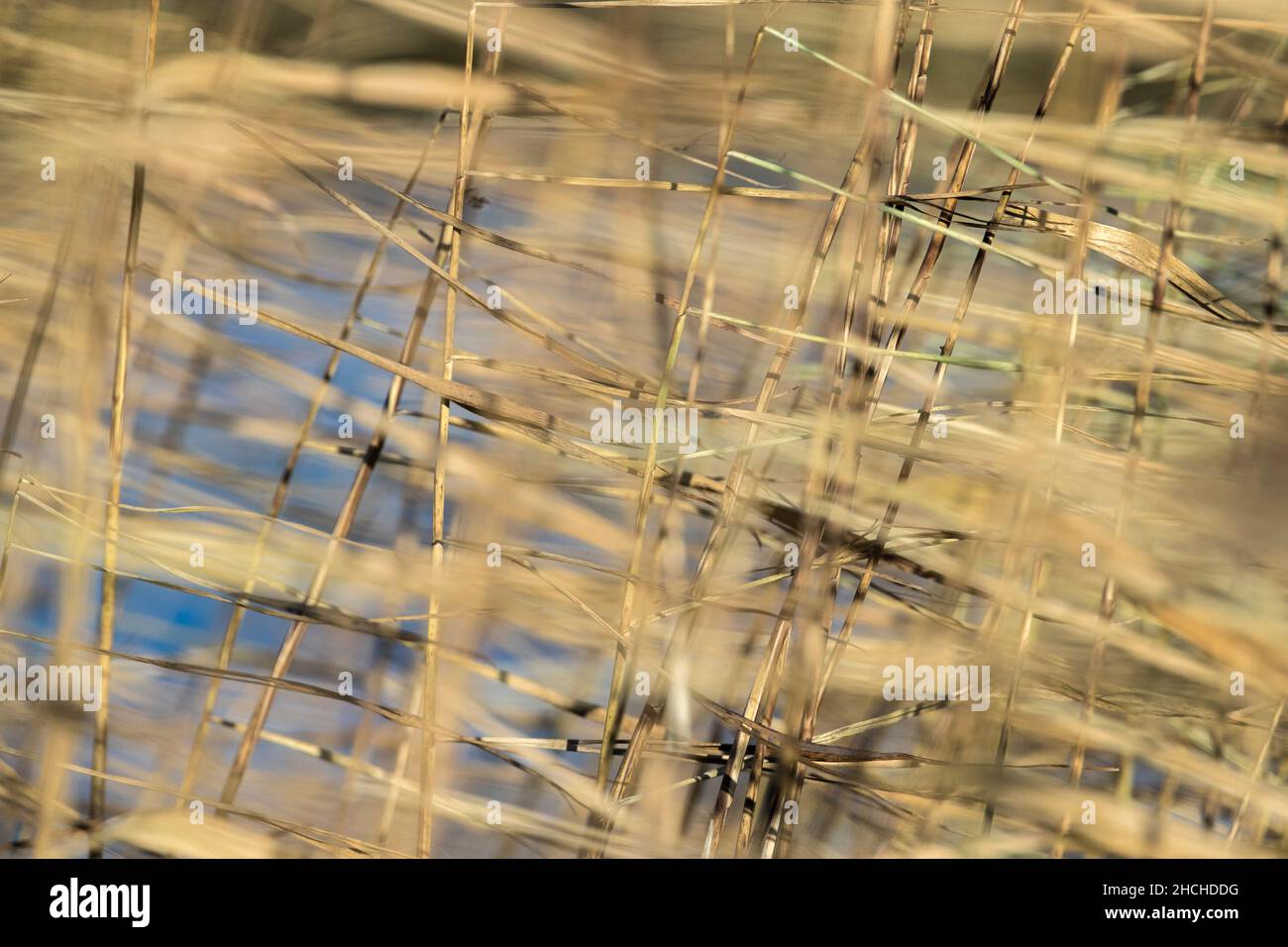 Wetland patterns hi-res stock photography and images - Alamy