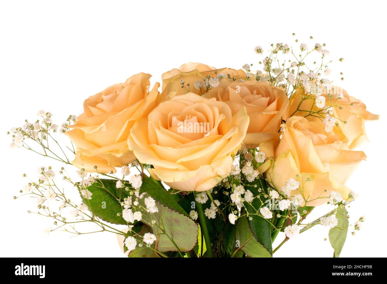 One bouquet of roses and Gypsophila flowers , close-up, isolated on ...