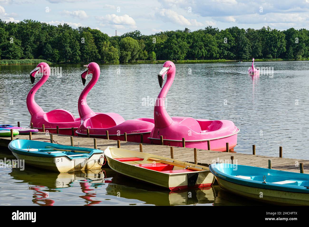 Animal pedal boats hi-res stock photography and images - Alamy