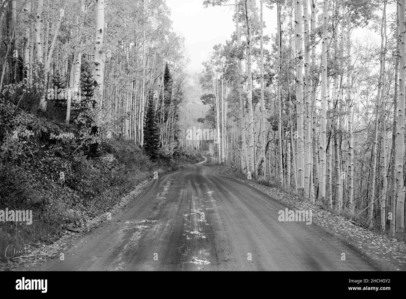 Crested view Black and White Stock Photos & Images - Alamy