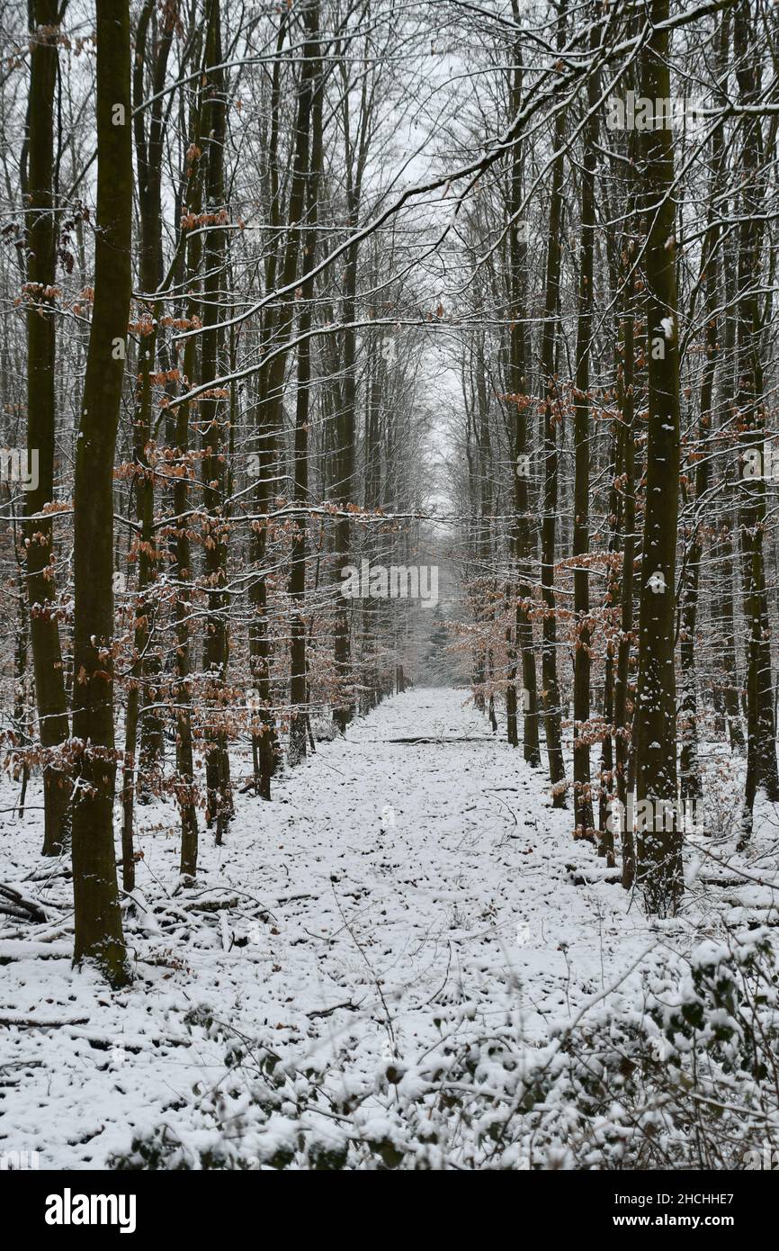 Landschaftsfotografie winter hi-res stock photography and images - Alamy