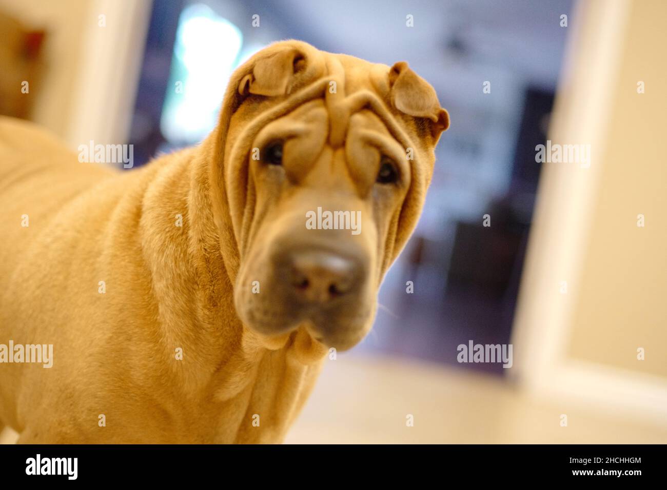 Shot beautiful small apartment hi-res stock photography and images - Alamy