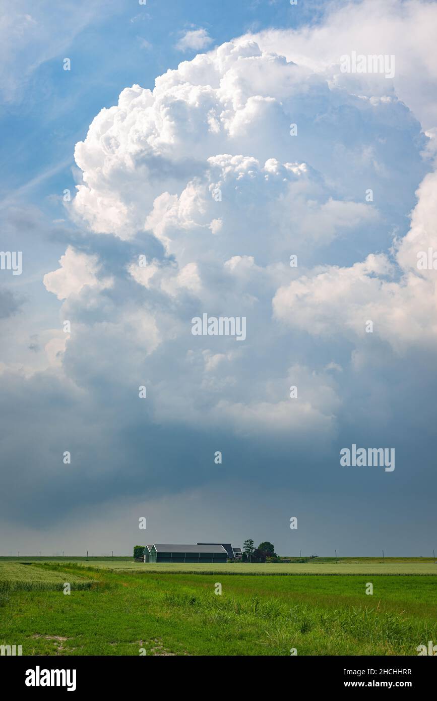 Large Cumulonimbus storm cloud over a farm on the plains Stock Photo ...