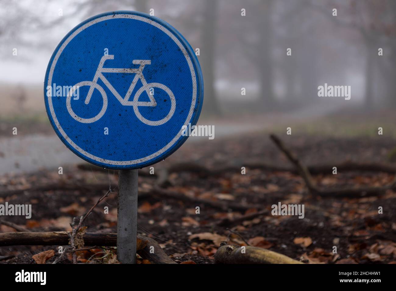 Dutch bicycle path sign in enchanted forest fog Stock Photo - Alamy