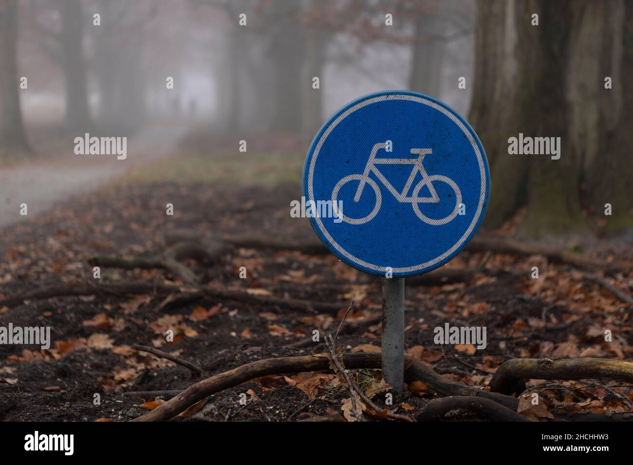 Dutch bicycle path sign in enchanted forest fog Stock Photo - Alamy