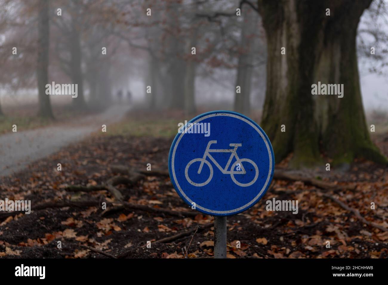 Dutch bicycle path sign in enchanted forest fog Stock Photo - Alamy