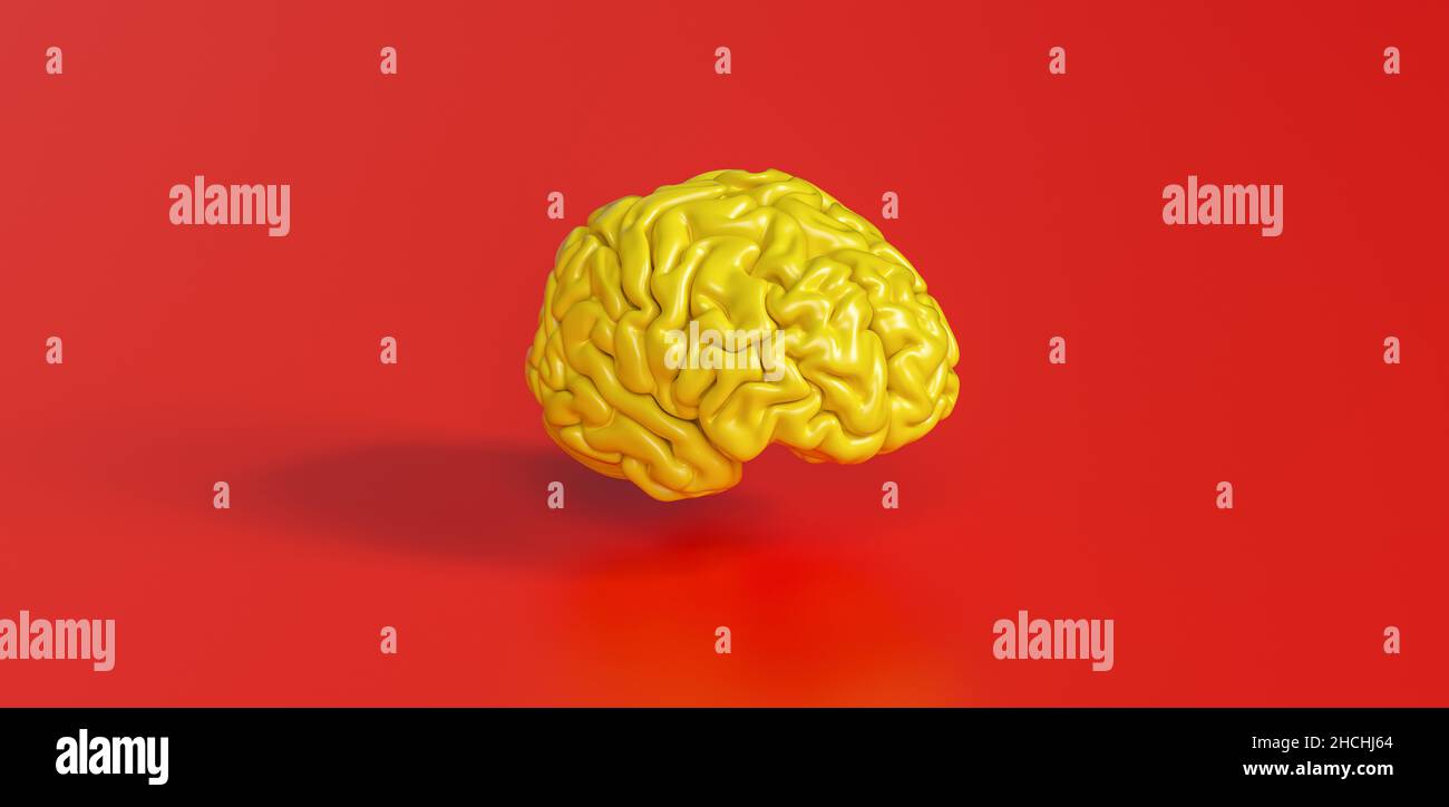 yellow human brain against red background Anatomical Model on floor ...