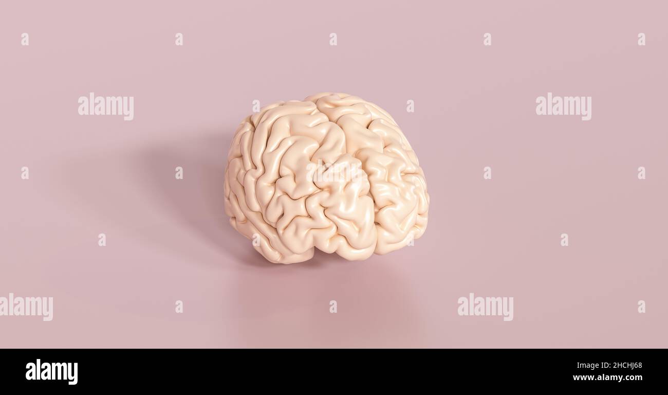 Floating brain as an artificial intelligence concept Stock Photo - Alamy