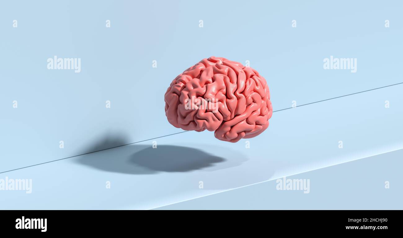Human brain Anatomical Model on ground Stock Photo - Alamy